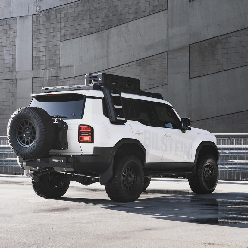 Side-Mounted Foldable Ladder System for Toyota LandCruiser Prado J250 ...